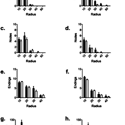 Sholl analysis of intersections, branching points, tips, and dendritic lengths made by white and ...