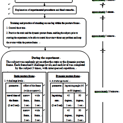 Flow chart of the experiment.