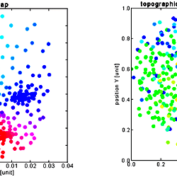 Somatopic reconstruction using the Fruchterman-Reingold layout algorithm.