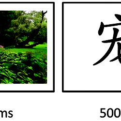 Flow of the affect misattribution task.