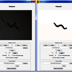 The Playback module.