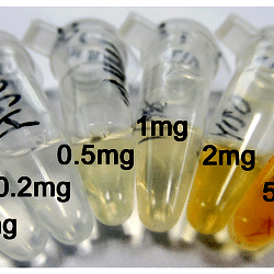 Photographic image of the extraction solution with different sample ...