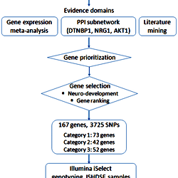 Flowchart of data process, algorithm for gene ranking and selection ...