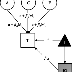 Continuous moderator model for a single twin (see [47]).