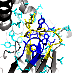 Packing shell setup.