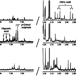 Comparison of deproteinization methods.
