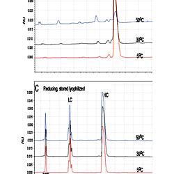 CE-SDS electropherograms of anti-BoNT 9ABE under non-reducing and ...