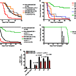 Combined Blockade of costimulation and adhesion pathways overcomes ...