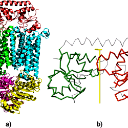 Example of an asymmetric assembly with internal pseudo-symmetry in one ...