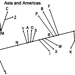 Simplified mtDNA tree based on PhyloTree mtDNA tree Build 15 (30 Sep ...