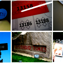 Examples of the images collected for end-to-end scene text recognition.