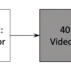 General experimental procedure outline.