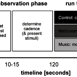 Schematic overview of the experimental design, the experimental phases ...