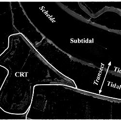 Detailed map of the study area.