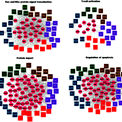 Examples of over-represent pathways targeted by viral proteins.