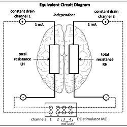 Schematic illustration of the tDCS set-up.