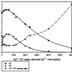 Trypsin-like activity versus Ca2+/enzyme molar ratio for KT1 and PT.