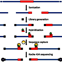 Overview of Targeted Genomic Sequencing.