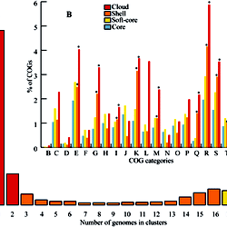 Structure of the pan-genome.
