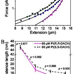 Force-extension curves and persistence length as a function of ...