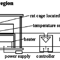 Diagram of the exposure system and field characteristics.
