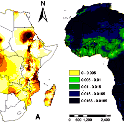 Predictions of the final Bayesian spatial model.