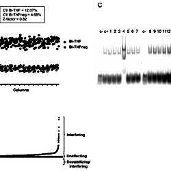 Robustness of the miniaturized AlphaScreen assay and screening of a ...