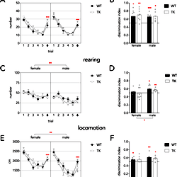 Object location discrimination task.