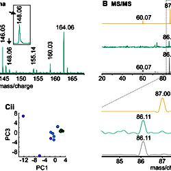 MALDI-TOF MS of individual non-cholinergic motor neuron was negative ...