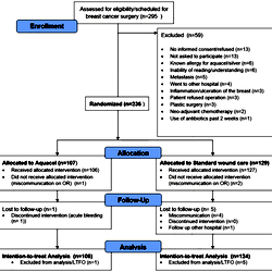 CDC criteria for an SSI [14,22].