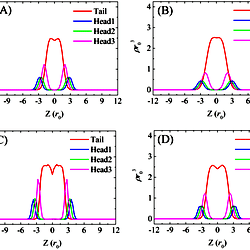 Density profiles of tensionless (A) DMPC, (B) DOPC, (C) gel phase DPPC ...