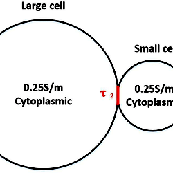 Calculation model of charge time constant.
