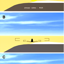 Screenshots of the visual scene.