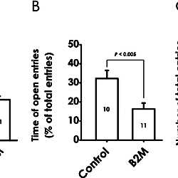Effect of B2M on the behaviors of rats in the elevated plus maze test.