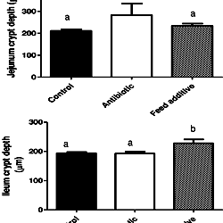 Crypt depth observed for duodenum, jejunum, ileum and caecum in the ...