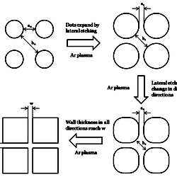 Diagram describing the SLIM process.