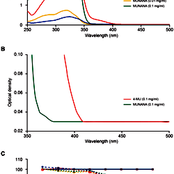 Inner filter effect (IFE) from light absorption at the excitation and ...