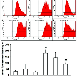 Detection of ROS by flow cytometry.