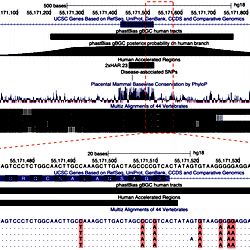 Illustration of genome browser track.