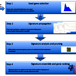 Outline of the gSFA procedure.