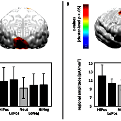 Visualization of the linear arousal-driven modulation of neural ...