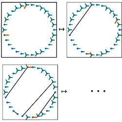 Sample generation of a Configuration Model network.