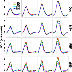BOLD Time Courses.