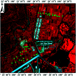 The false color composite image (NIR/red/green band) of the study area ...
