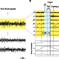 ECoG signal processing and decoding method.