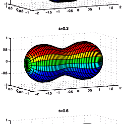 Shapes during constriction process.