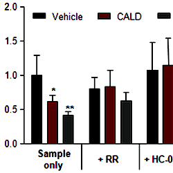 Effect of cinnamaldehyde (CALD) and methyl syringate (MS) on food ...