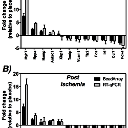 Validation of microarray assay data by RT-qPCR.