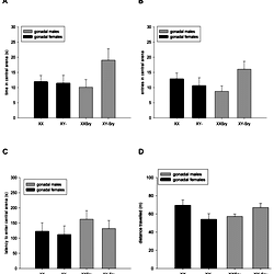 Anxiety-related and activity measures in the open field test.