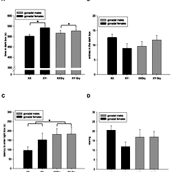 Anxiety-related, activity and exploratory measures in the light-dark ...